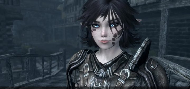 Skyrim Character Presets Mods | Character Presets Skyrim SE Mods
