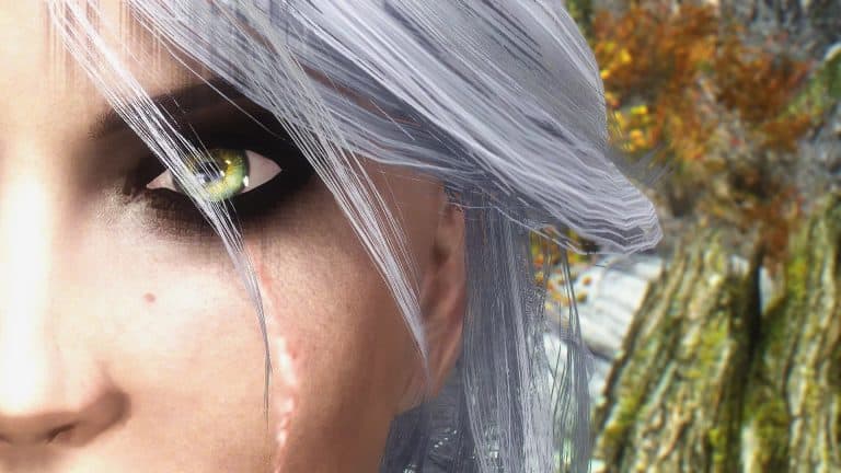 Ciri from Witcher 3 - Hair and RaceMenu Preset | Skyrim Mod Download