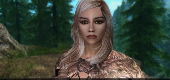 Skyrim Character Presets Mods | Character Presets Skyrim SE Mods