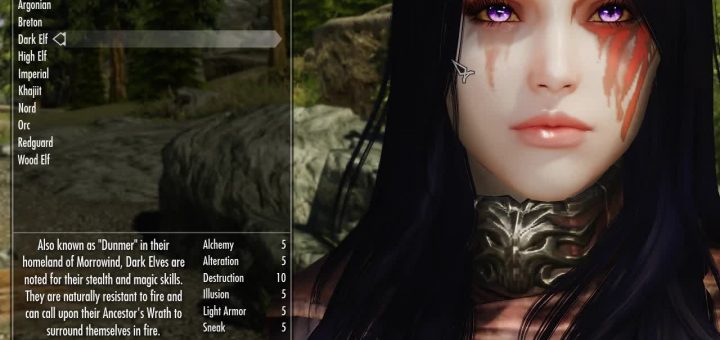 Skyrim High Poly Head Mods | Skyrim SE High Poly Head Mods