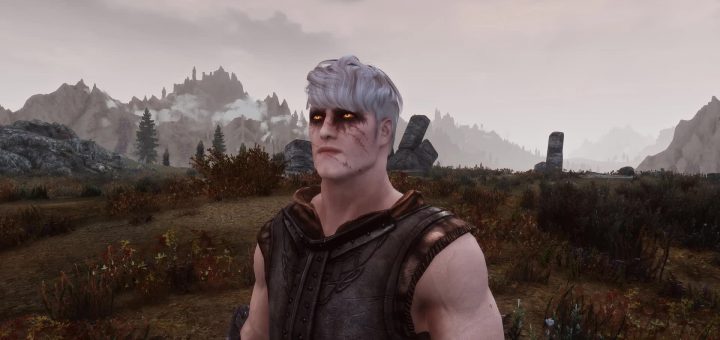 Skyrim Character Presets Mods | Character Presets Skyrim SE Mods