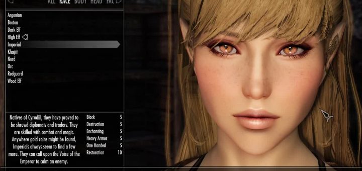 Skyrim Character Presets Mods | Character Presets Skyrim SE Mods