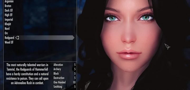 Skyrim Character Presets Mods | Character Presets Skyrim SE Mods