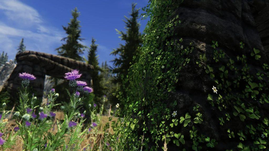 Project ENB | Skyrim Mod Download