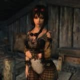 Recorder - Standalone Fully Voiced Follower | Skyrim Mod Download