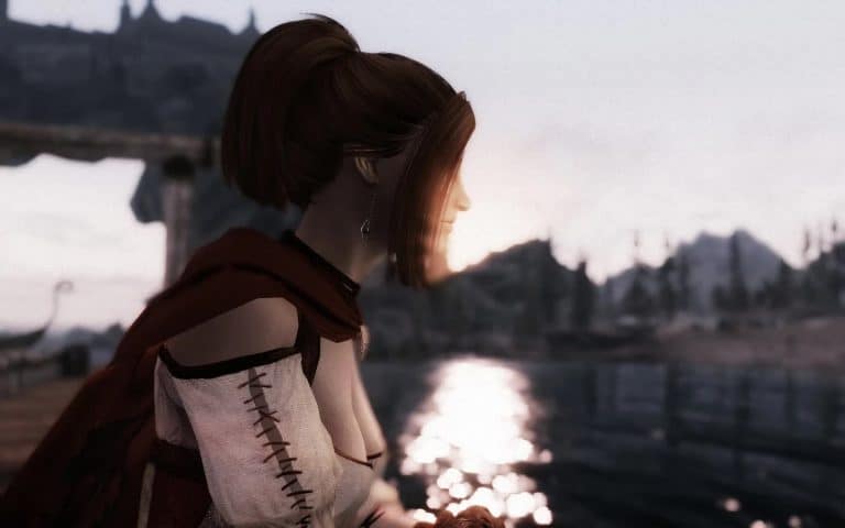 Standalone Followers Tutorial Skyrim Mod Download