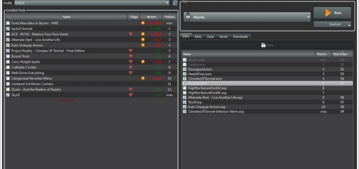 BethINI | Skyrim Mod Download